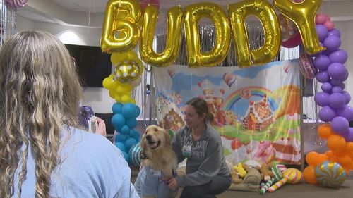Hospital holds retirement party for beloved dog, "he was that bright ...